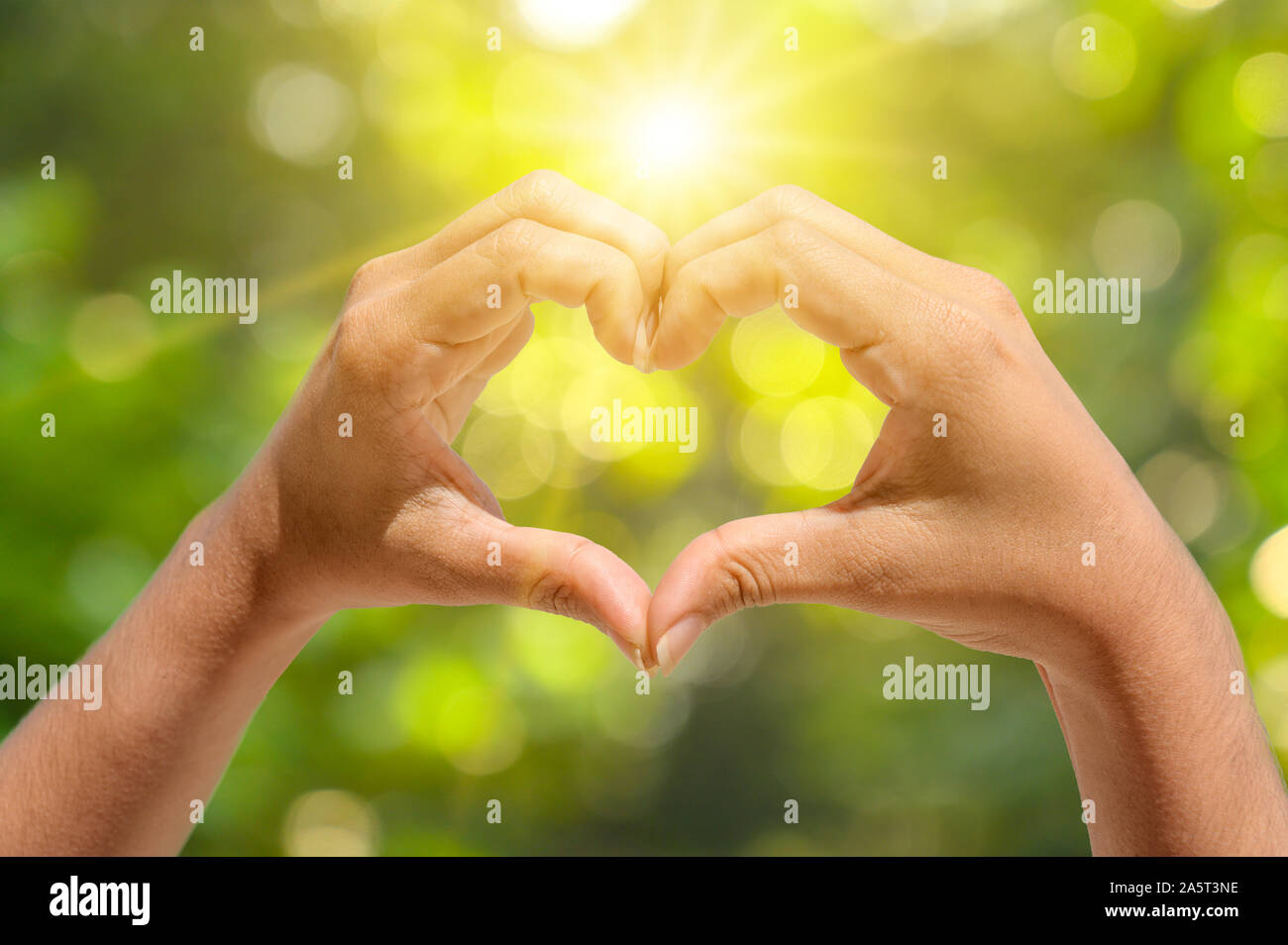 The hands of women and men are the heart shape with the sun light ...