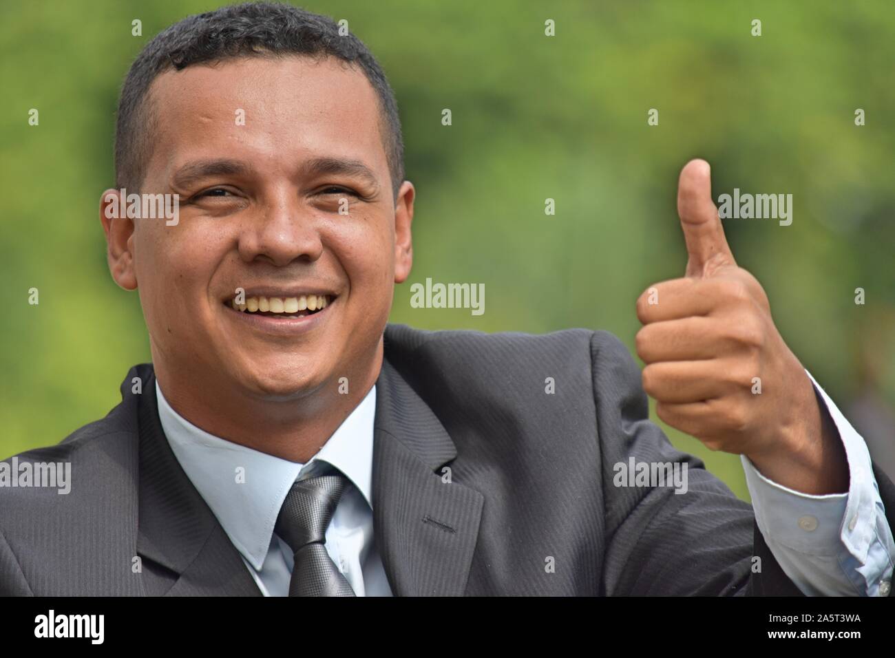Successful Business Man Wearing Business Suit Stock Photo - Alamy