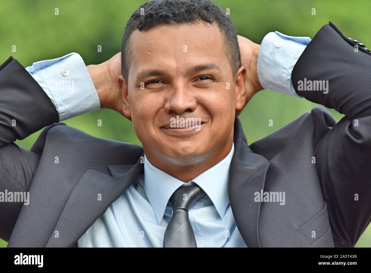 Successful Handsome Business Man Stock Photo - Alamy