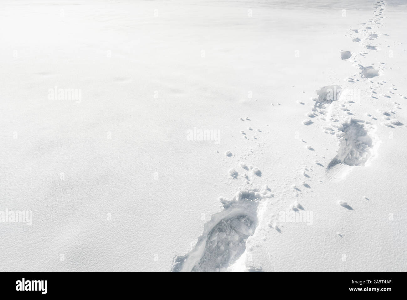Human feet traces in the snow. Footprints alley through the snow ...
