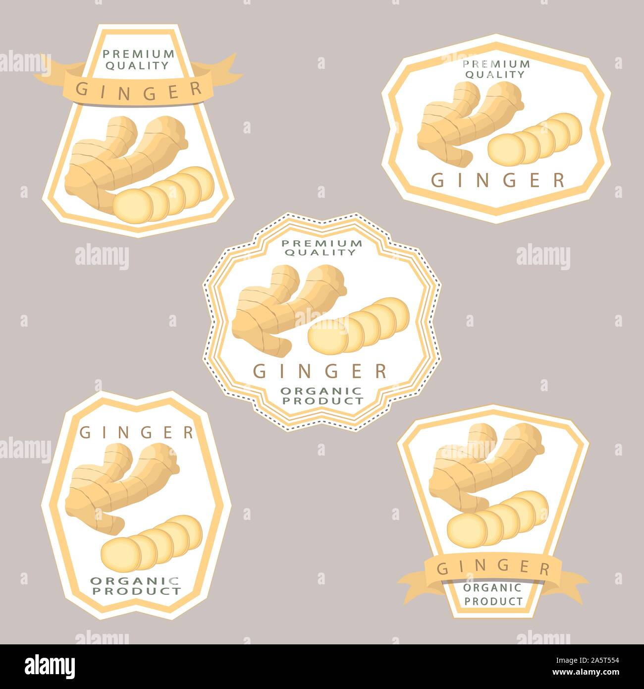 Vector icon illustration logo for whole spice herb seasoning yellow ...