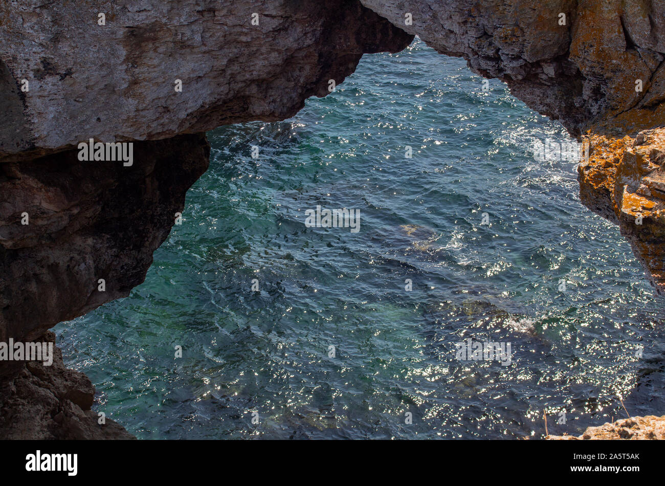 Still life with shells hi-res stock photography and images - Alamy