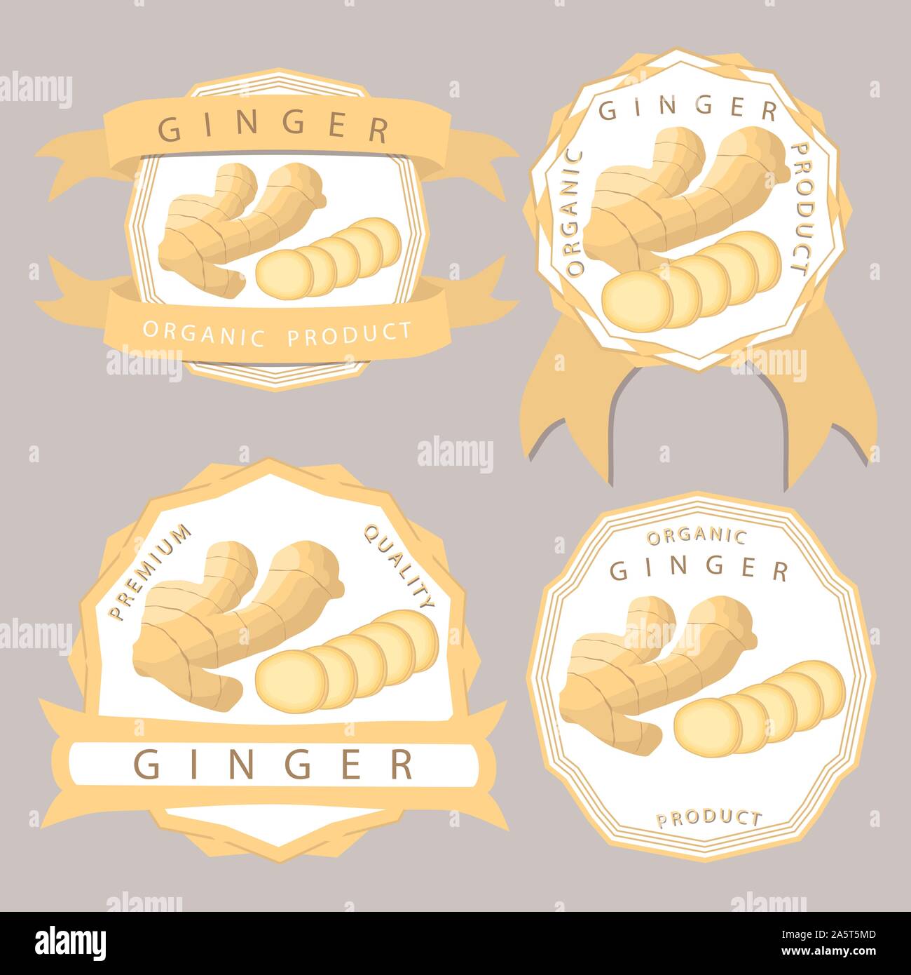 Vector icon illustration logo for whole spice herb seasoning yellow ...