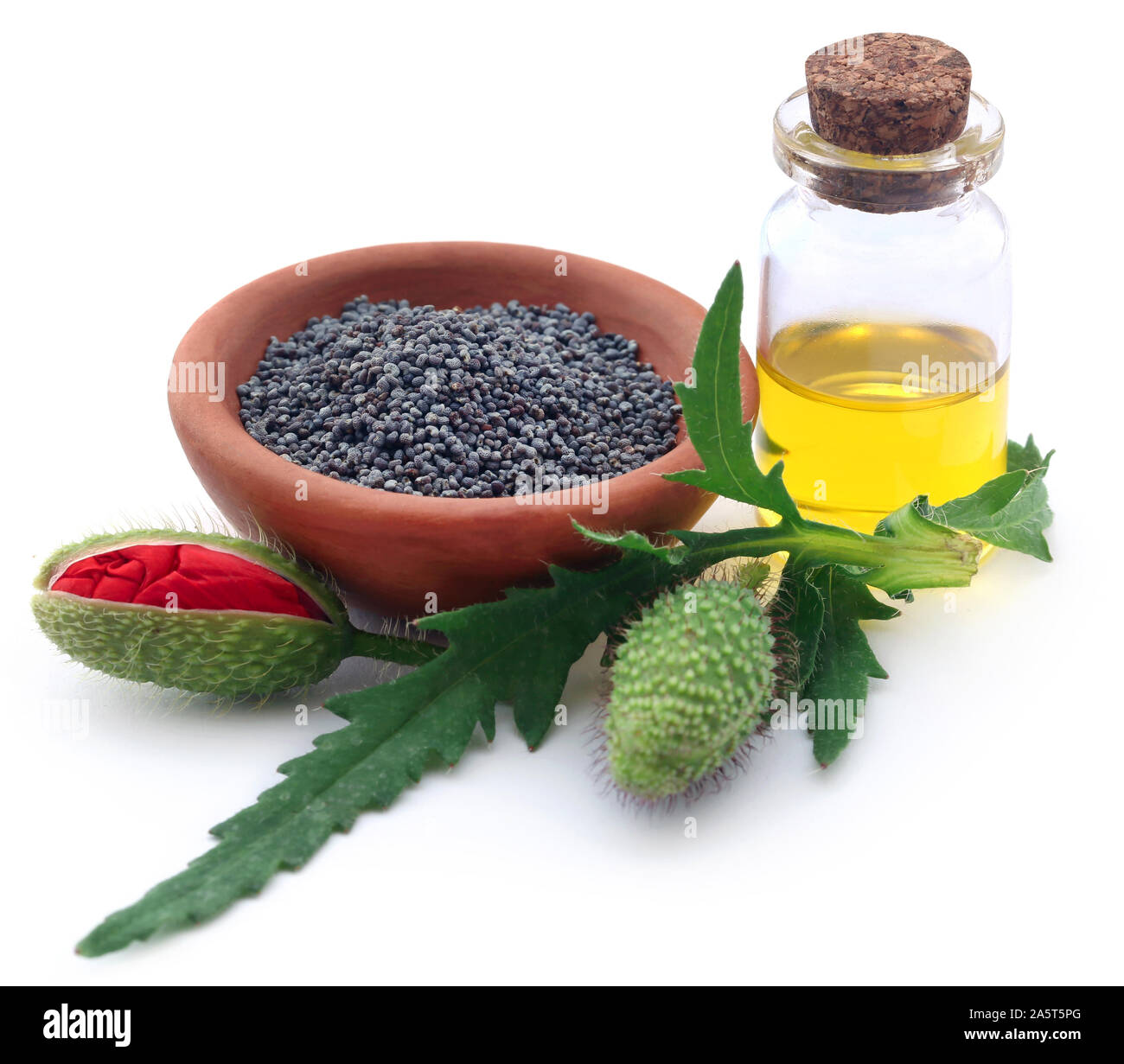 Poppy flower seeds and extract in a bottle over white background Stock ...