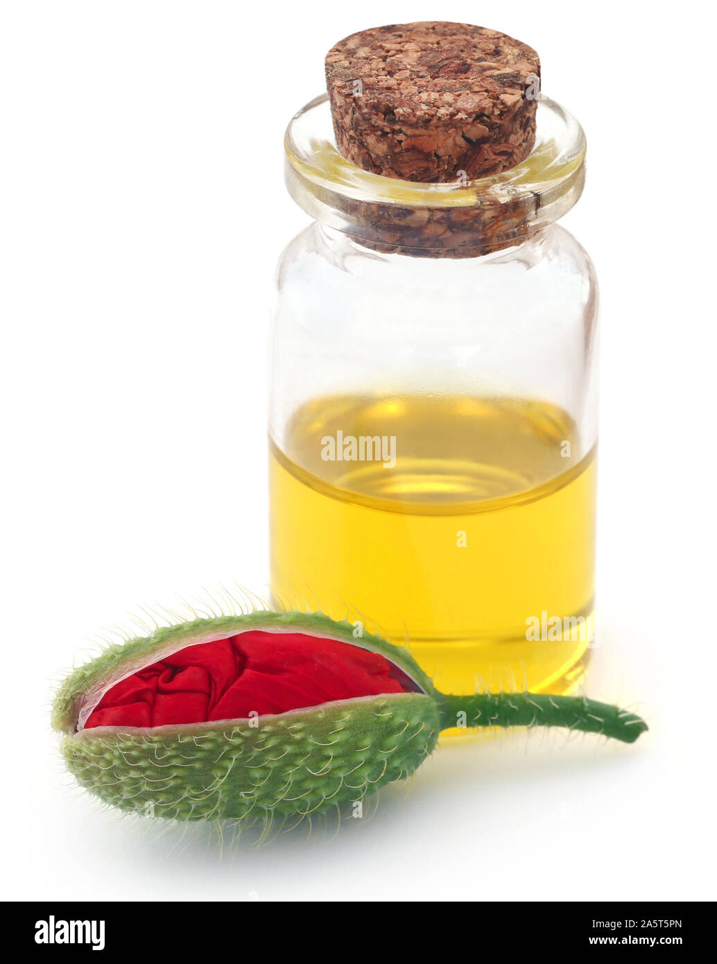 Poppy flower and extract in a bottle over white background Stock Photo ...