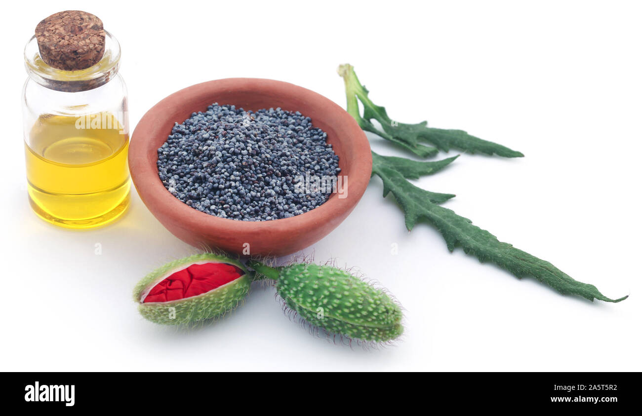 Poppy flower seeds and extract in a bottle over white background Stock ...