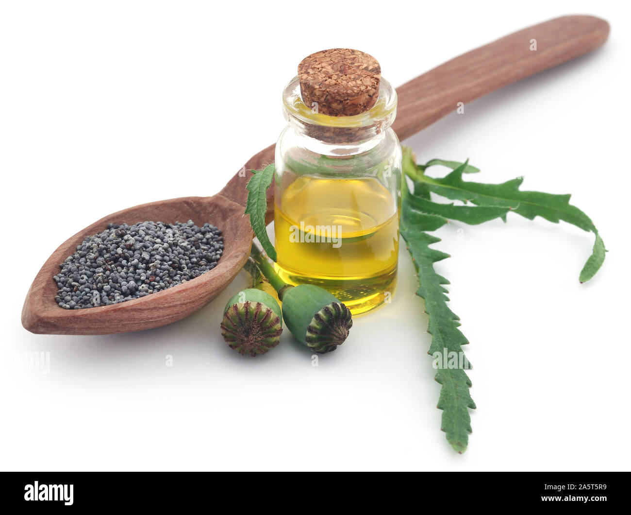 Poppy seeds and extract in a bottle over white background Stock Photo ...