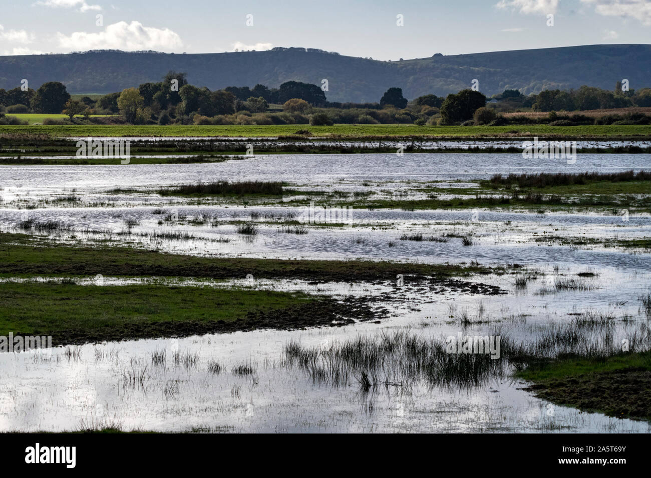 Wetland flooded nature reserve hi-res stock photography and images - Alamy