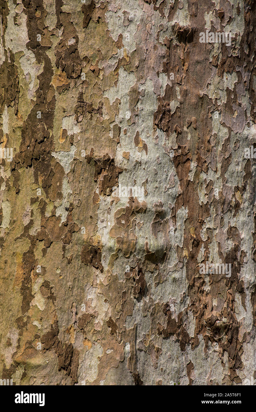 Coarse surface hi-res stock photography and images - Alamy