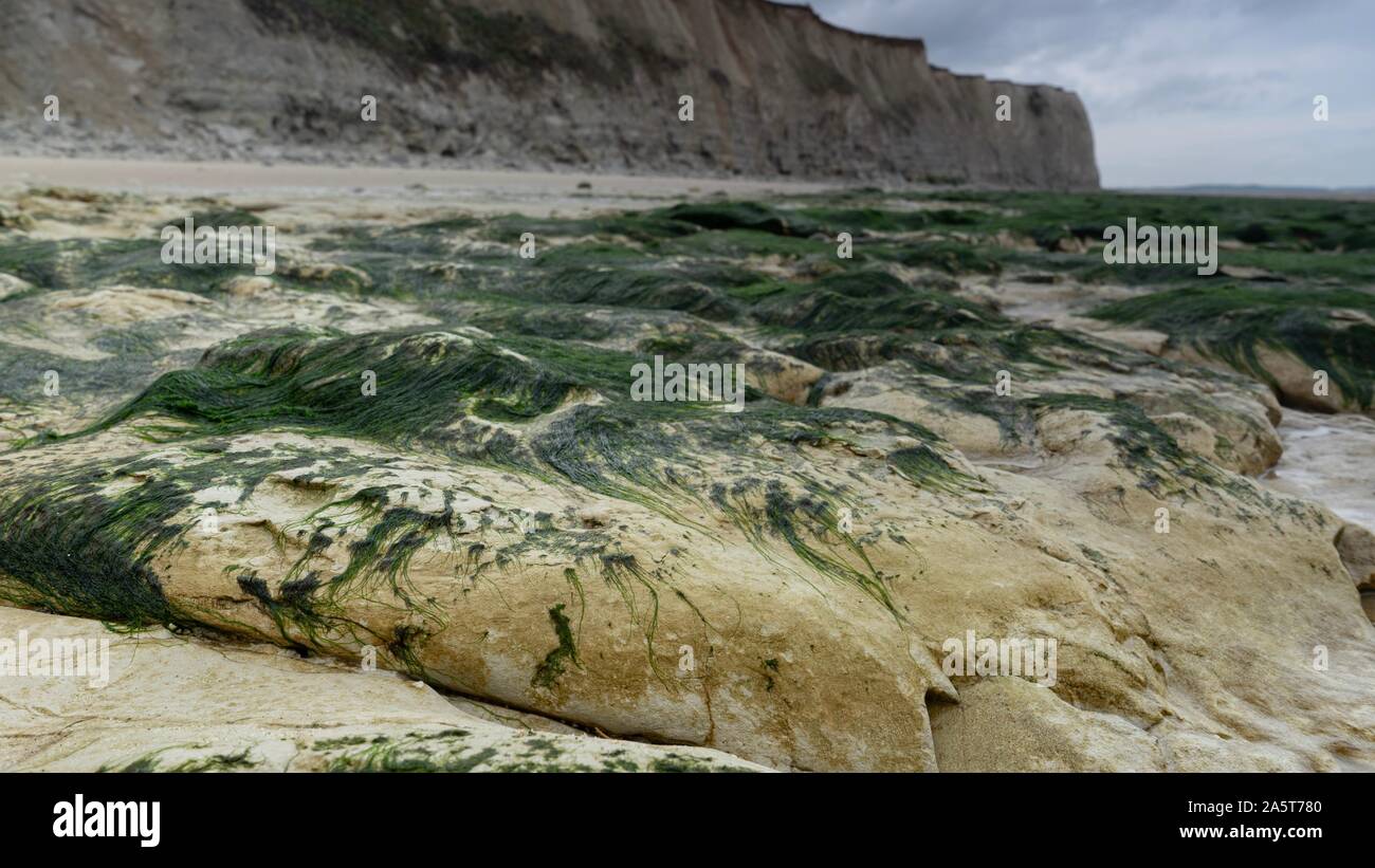 Cap Blanc-Nez, Beach and cliffs by Escalles France Stock Photo - Alamy