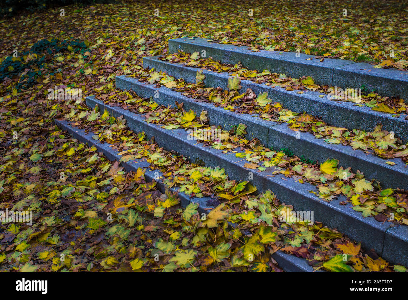 Windy stairs hi-res stock photography and images - Alamy