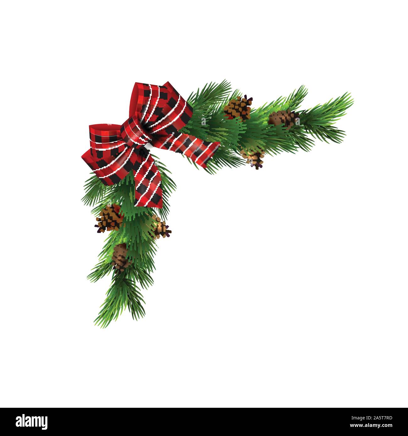 Vector. Christmas decoration: evergreens isolated Stock Vector Image ...