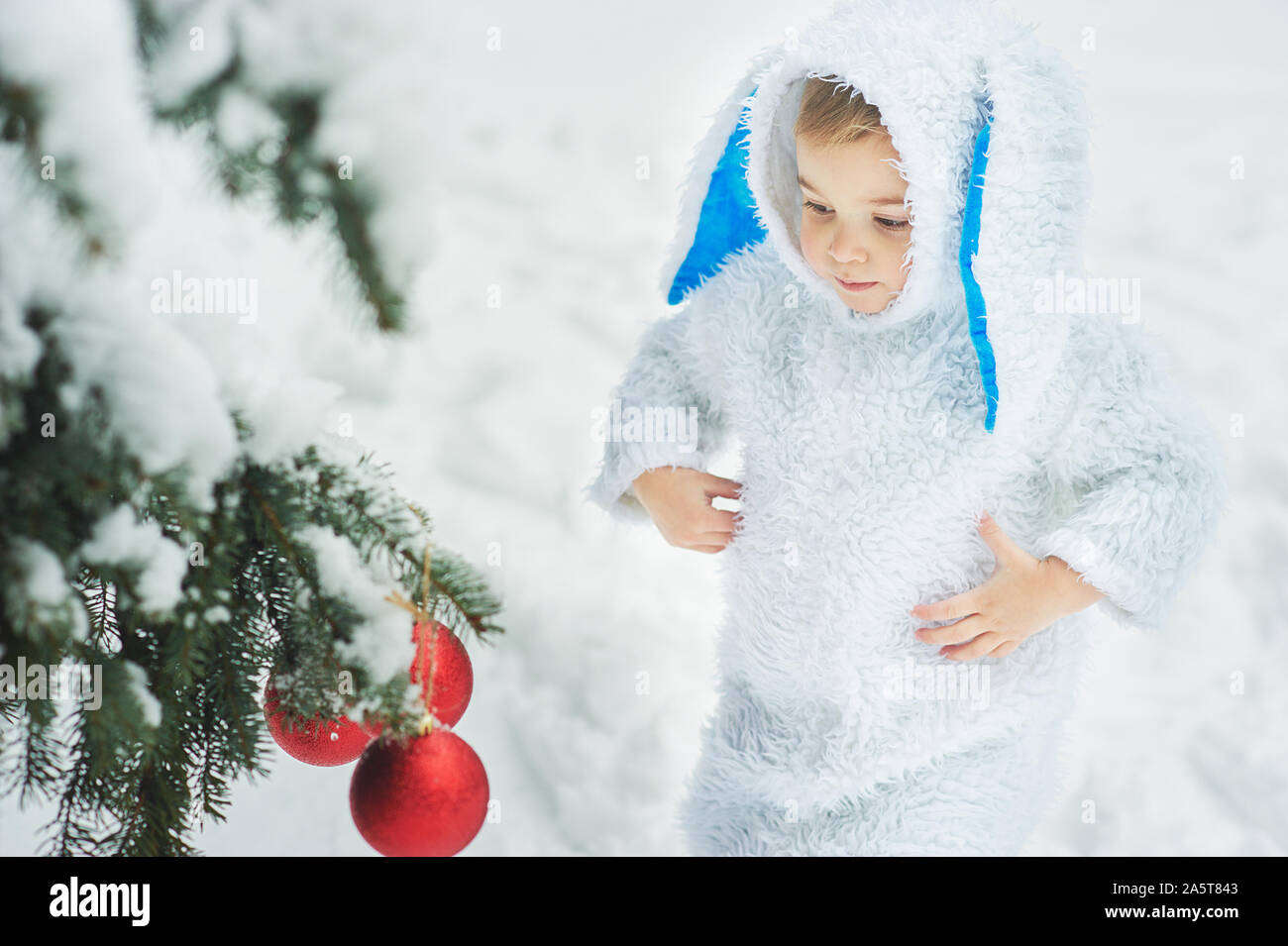 Portraita little boy dressed as rabbit in winter forest. Child with ...