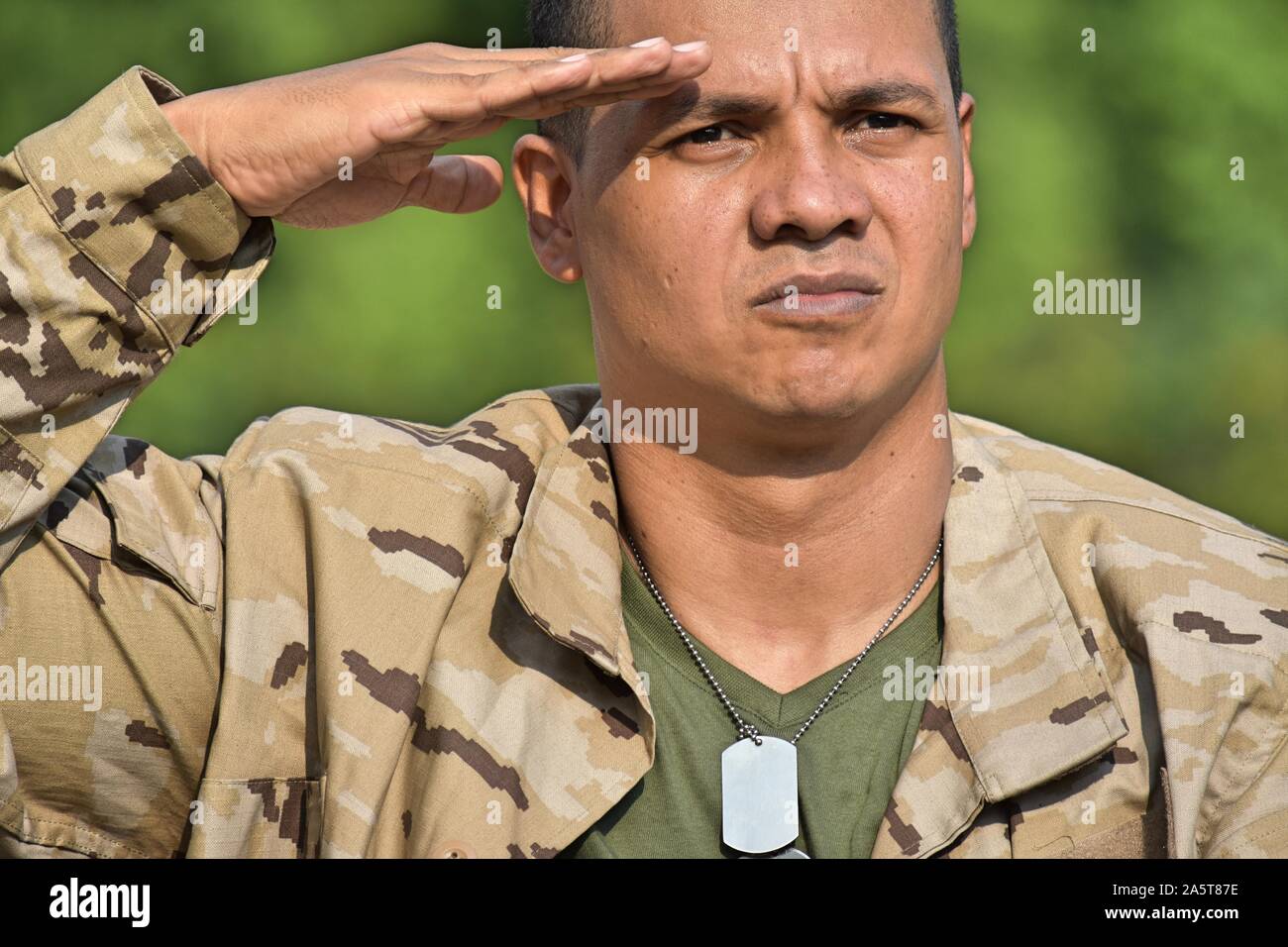 Male Soldier Saluting Stock Photo - Alamy