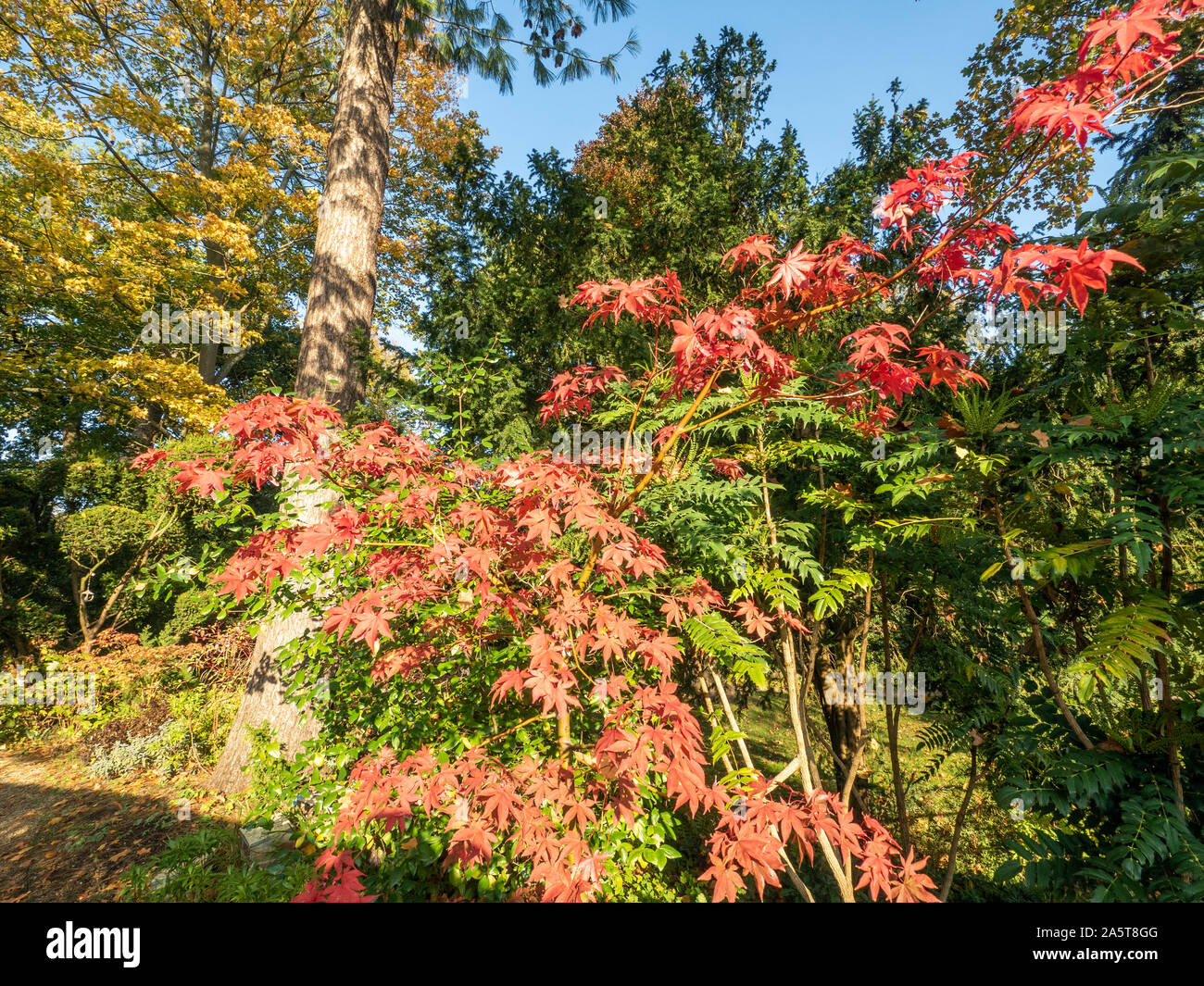 "George Harrison" Garden at ISKCON centre Bhaktivedanta manor, near ...