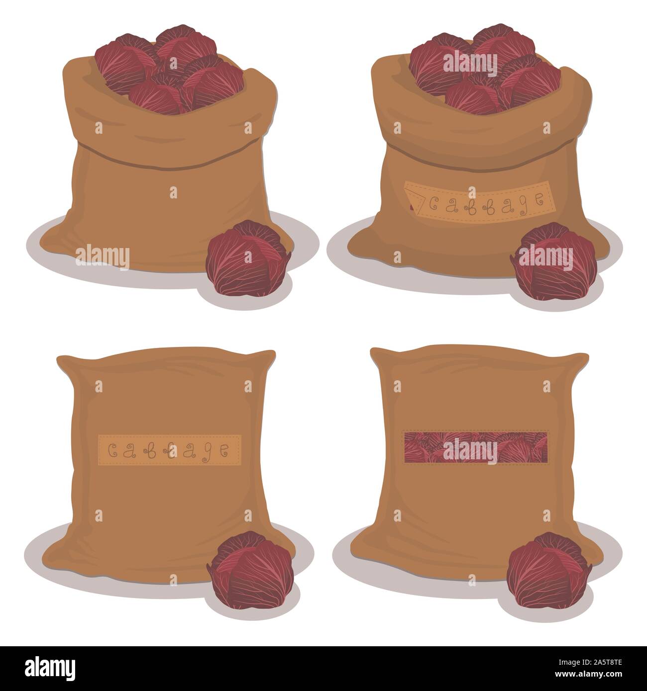 Vector illustration for bags filled with vegetable red cabbage, storage ...