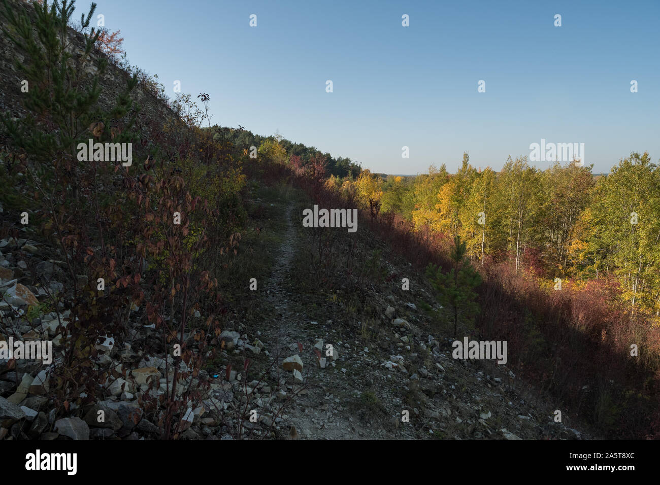 path through limestone quarry with trees Stock Photo - Alamy