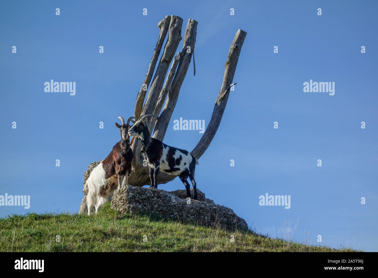 autumn in the german allgäu Stock Photo - Alamy