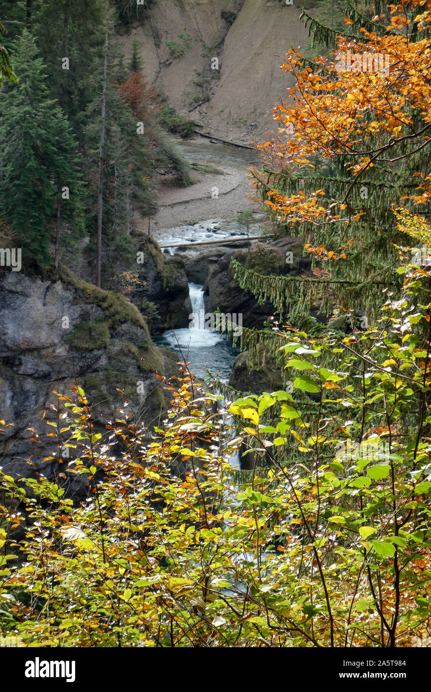 Germany church forest cow hi-res stock photography and images - Alamy