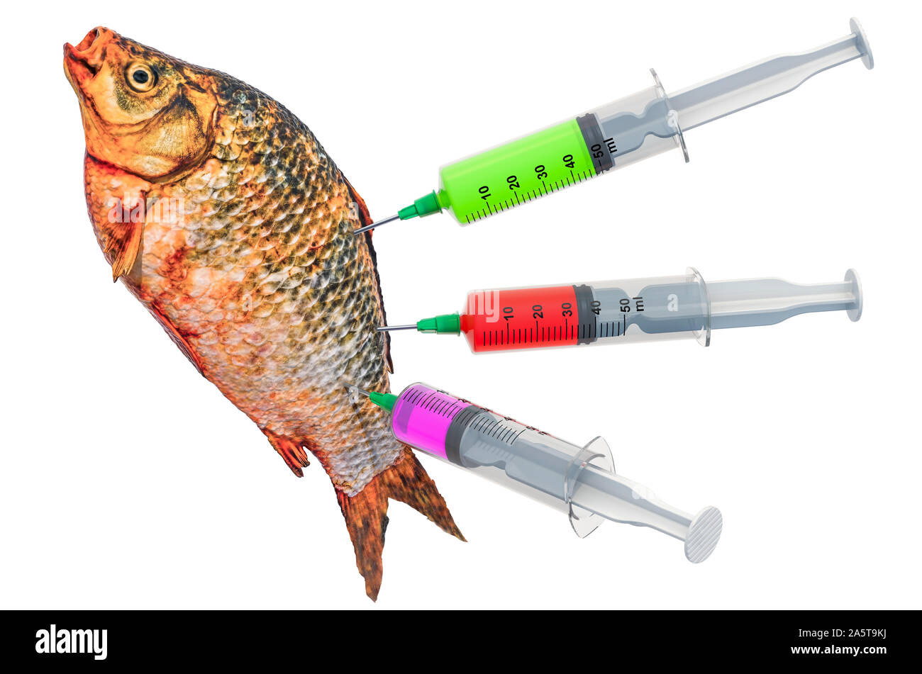 Raw carp fish with a syringes full of chemicals. Genetic Food ...