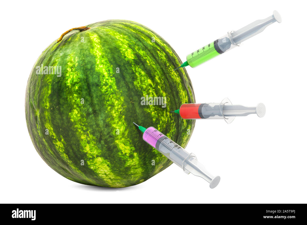 Watermelon with a syringes full of chemicals. Genetic Food Modification ...