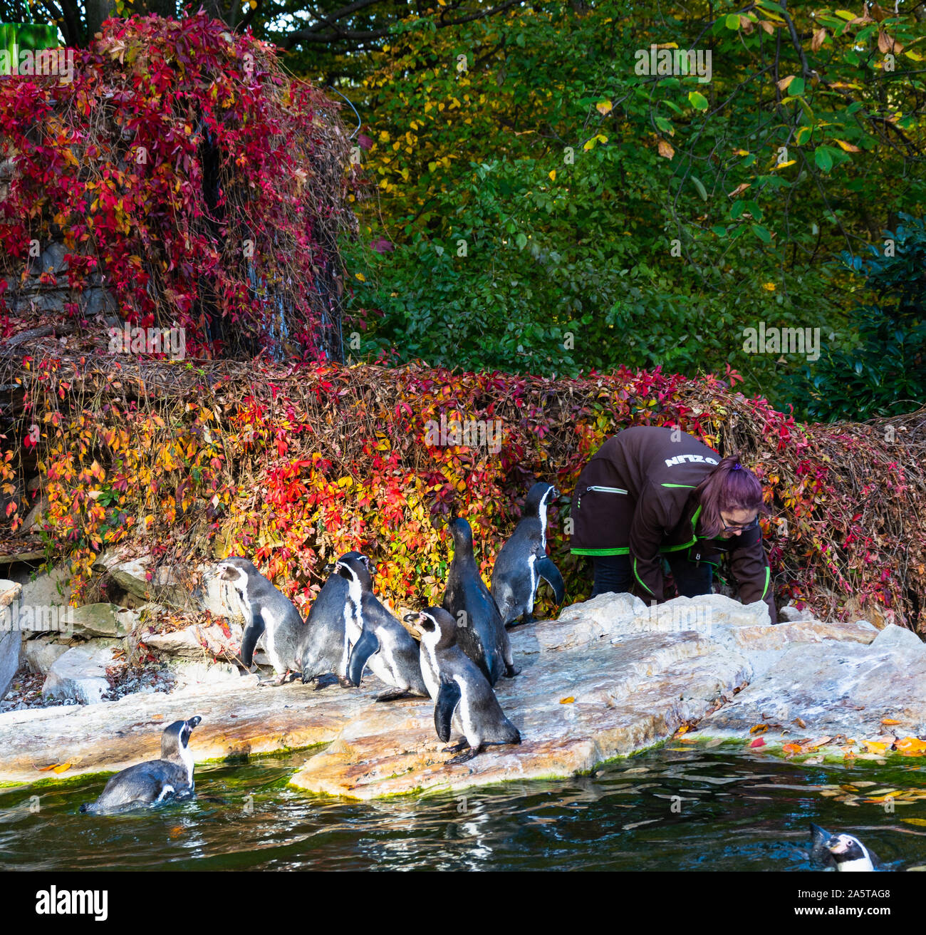Zoo zlin hi-res stock photography and images - Alamy