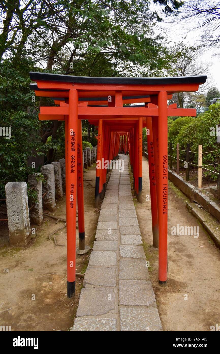 Torii gates by Nezu-jinja- one of the oldest shinto shrine, Tokyo ...