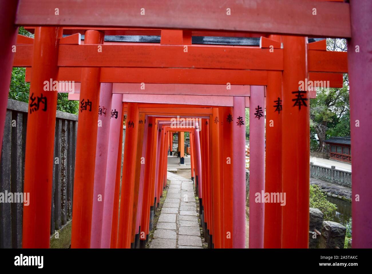 Oldest shinto shrine hi-res stock photography and images - Alamy