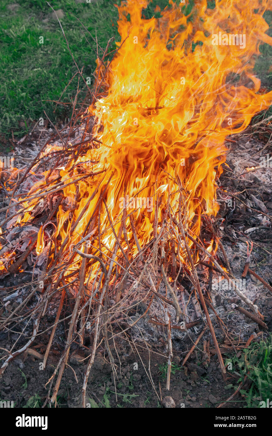 Fire of dry twigs on the green grass Stock Photo - Alamy