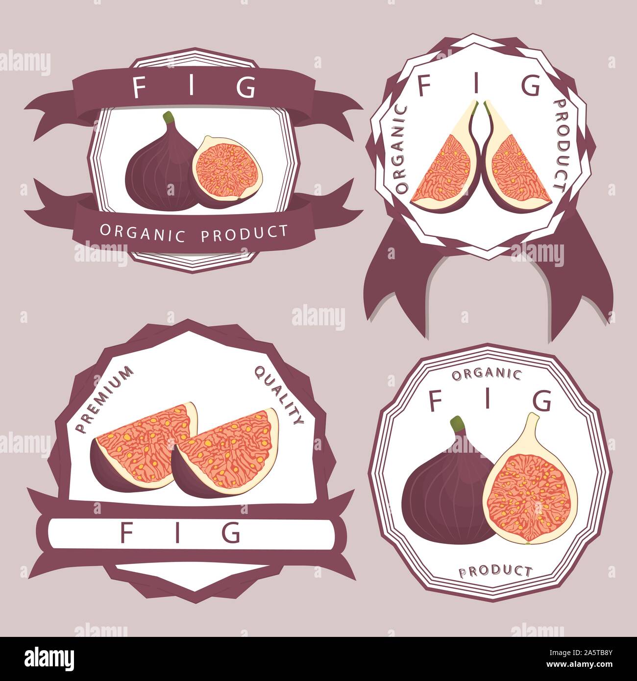 Vector icon illustration logo for whole ripe fruit purple fig, slice ...
