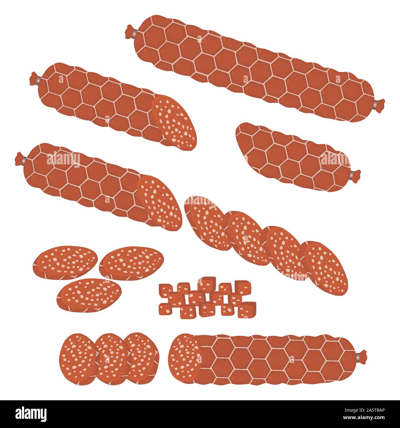 Salami Vector Vectors High Resolution Stock Photography and Images - Alamy