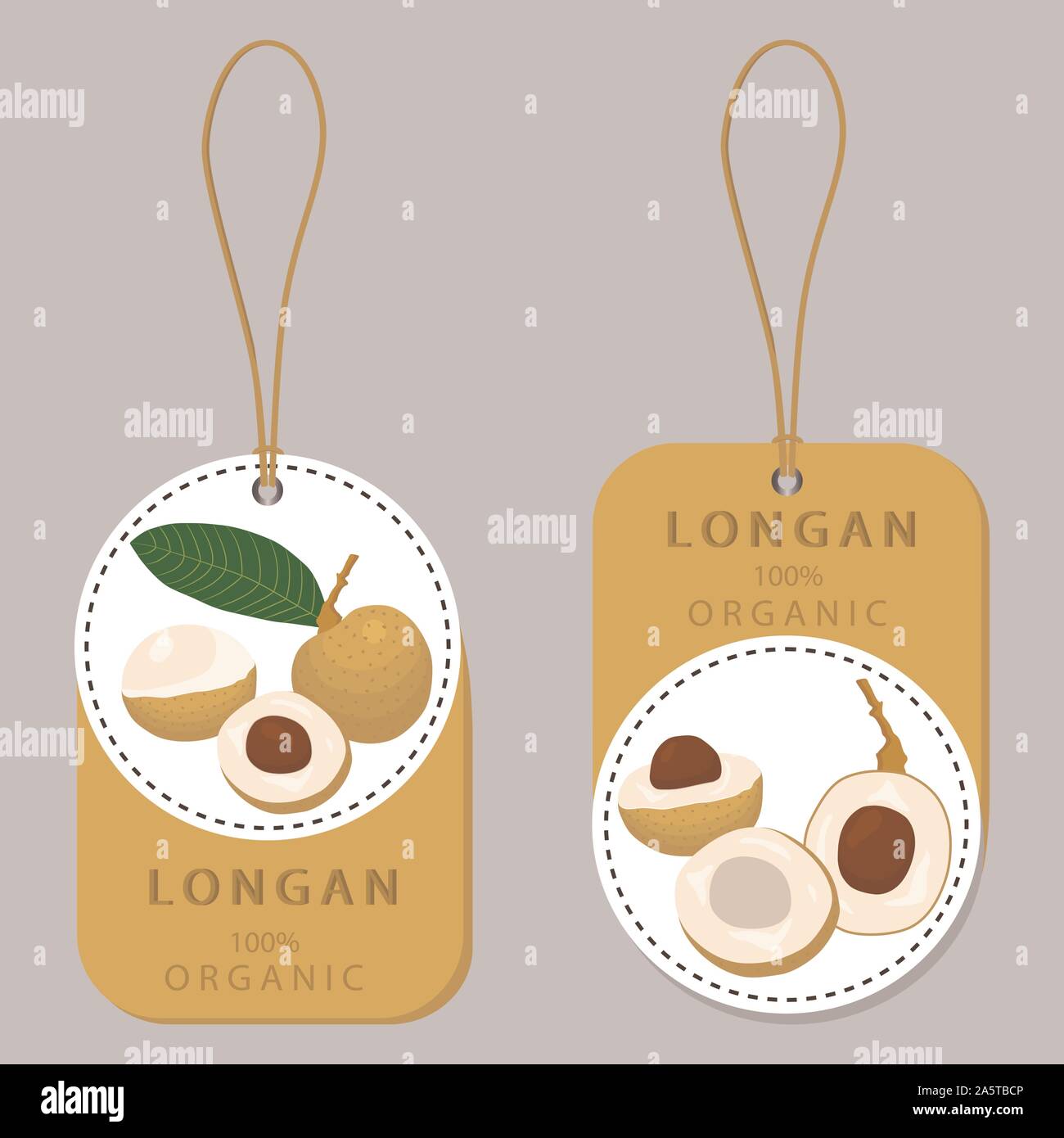 Vector icon illustration logo for whole ripe fruit yellow longan, slice ...