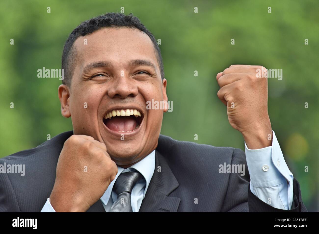 Successful Adult Business Executive Wearing Suit And Tie Stock Photo ...