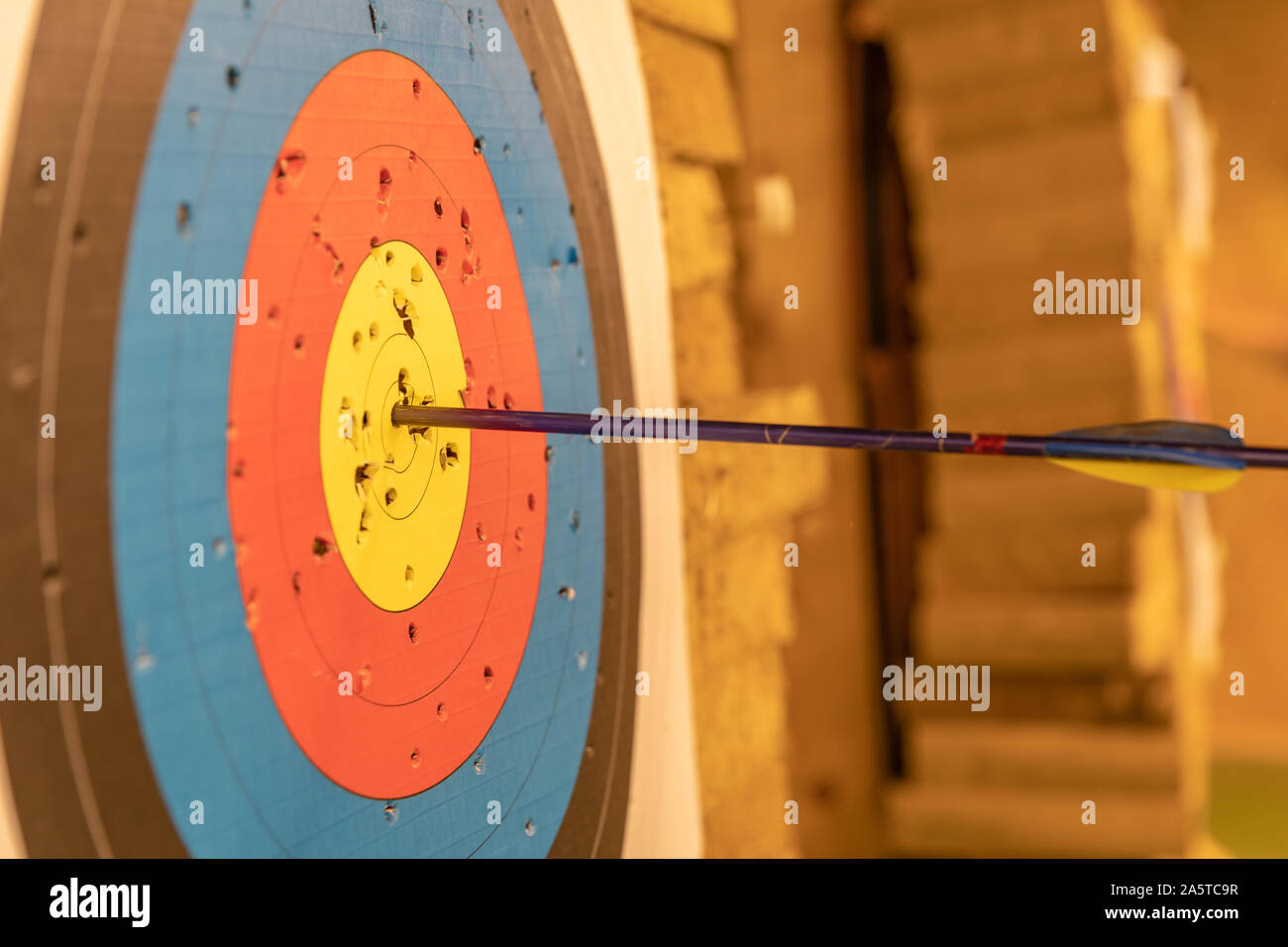 archery in the sports hall. Competition for the best shot an arrow into ...