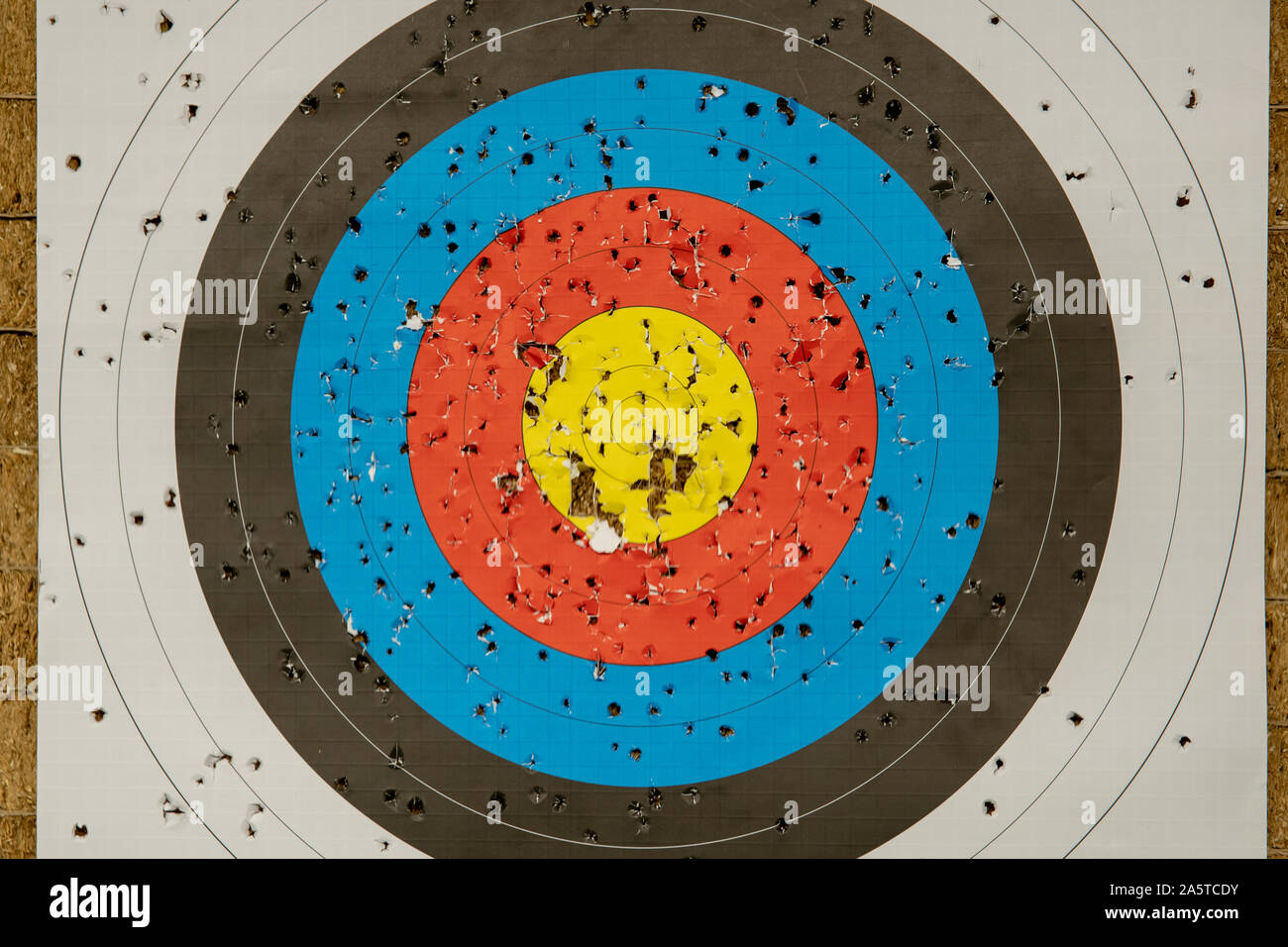 archery in the sports hall. Competition for the best shot an arrow into ...