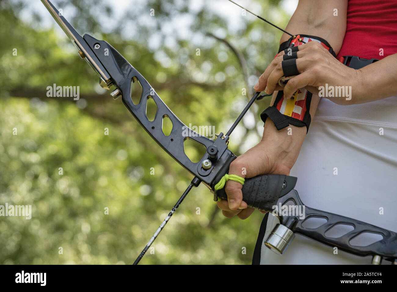 archery in the sports hall and in nature. Competition for the best shot ...