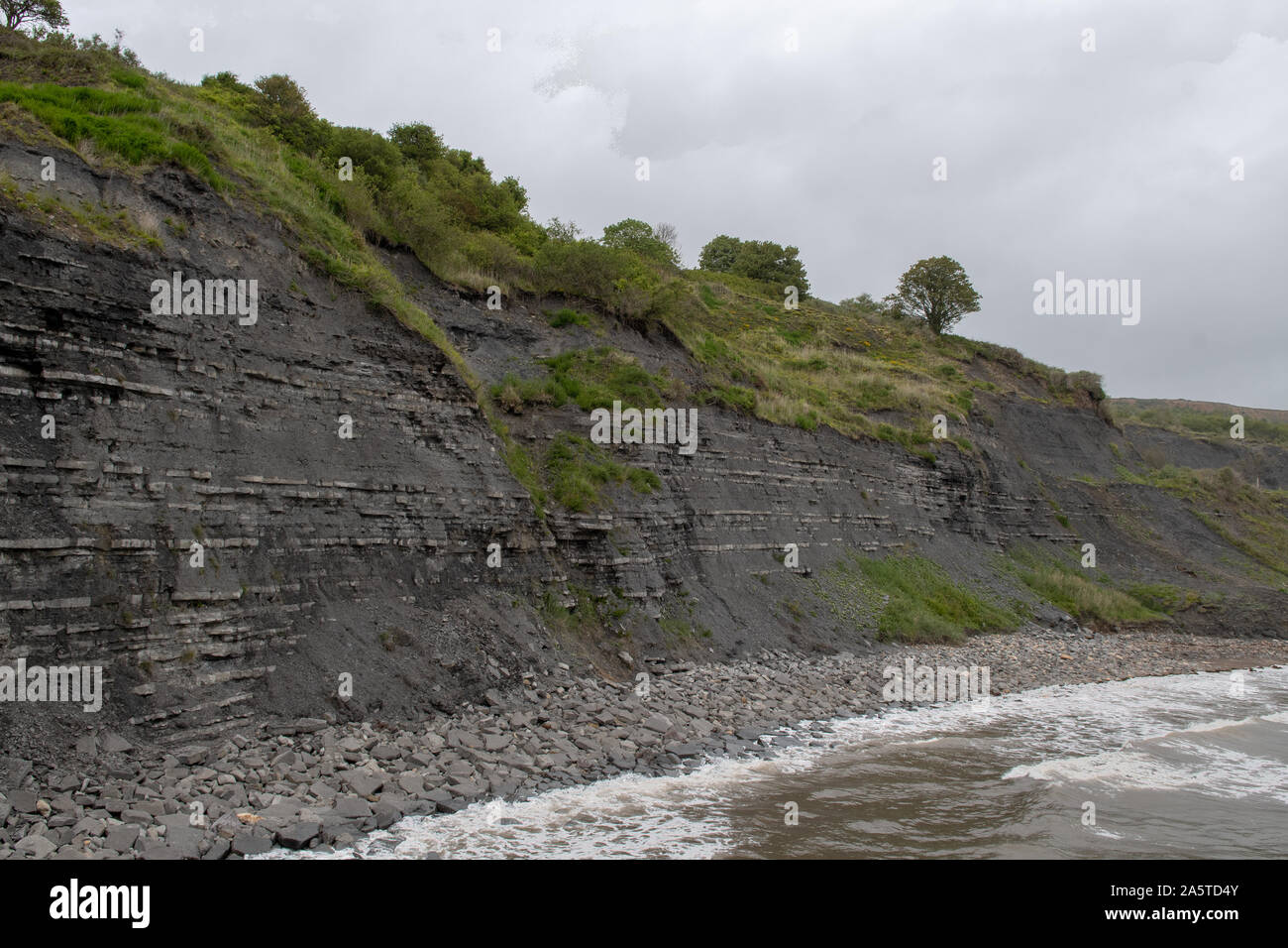 View of the blue lias cliff at Lyme Regis in Dorset which is famous for ...