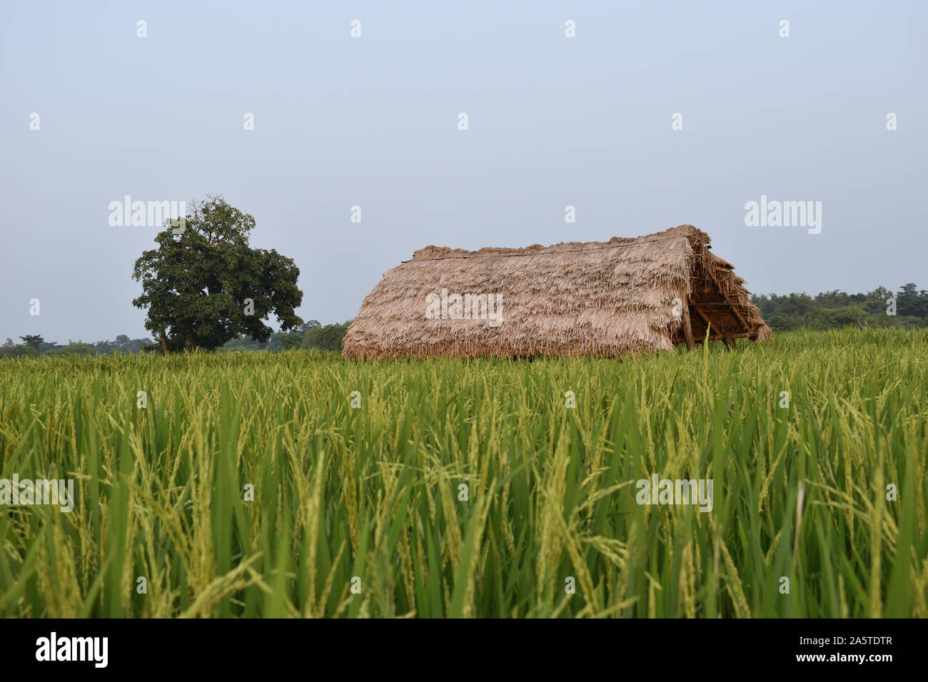 magic house in india Stock Photo - Alamy