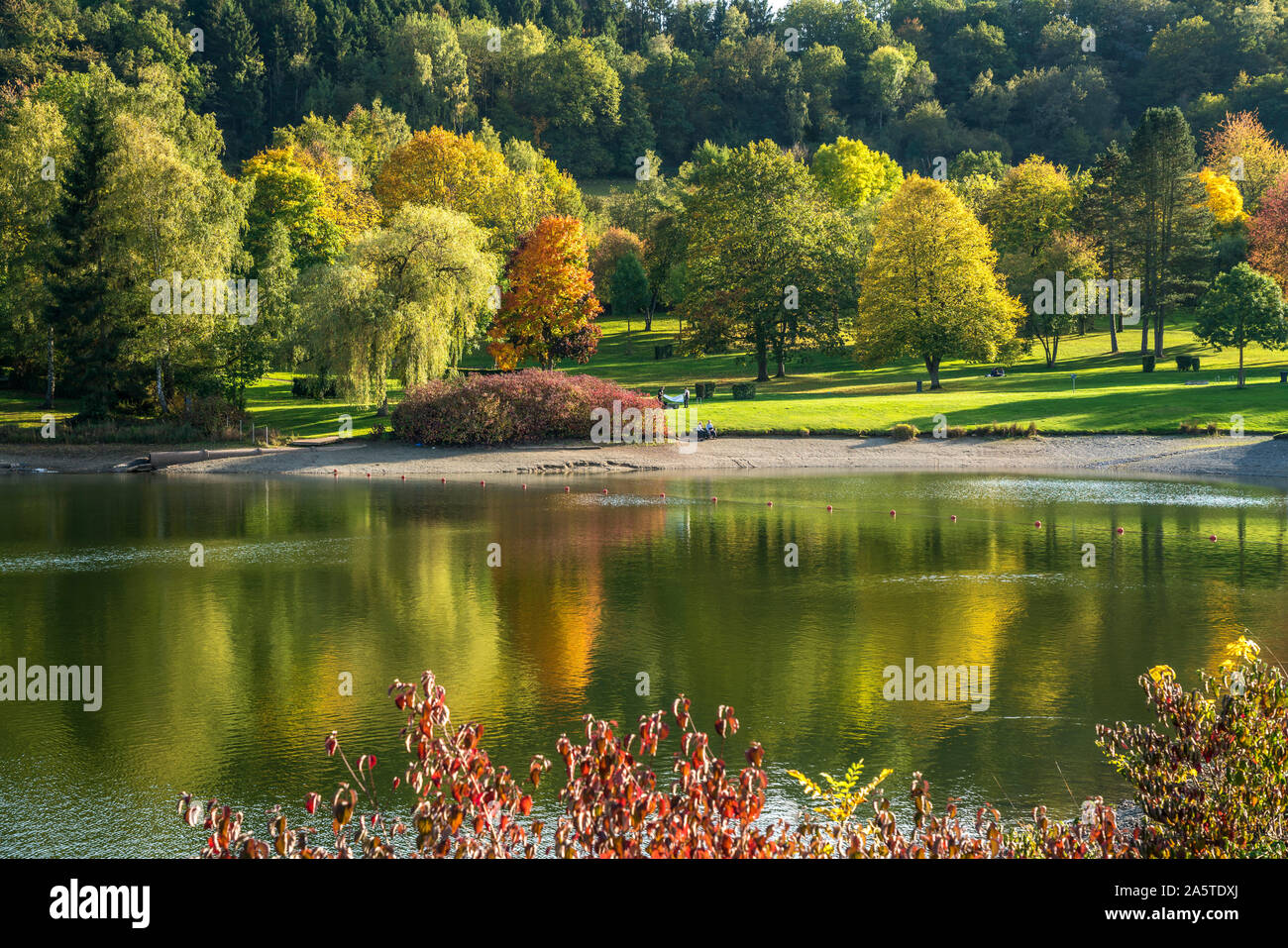 Herbst am Eiserbachsee am Rurstausee in der Eifel, Nordrhein-Westfalen ...