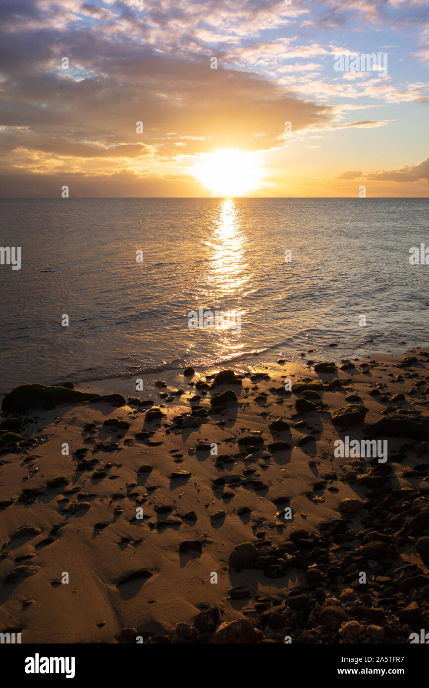 Indian beaches hi-res stock photography and images - Alamy