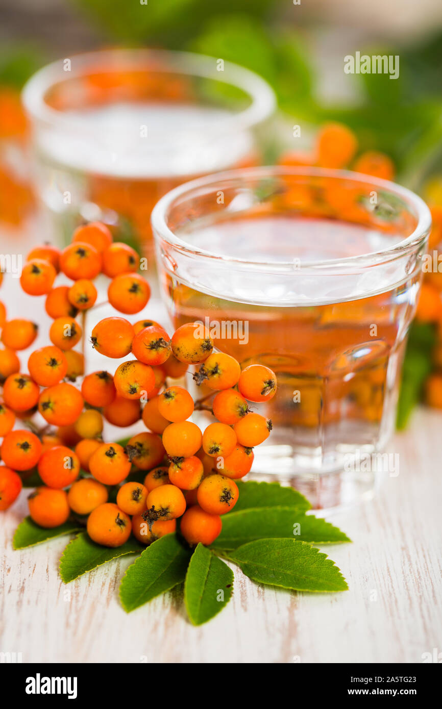 2 glasses of rowanberry brandy with rowanberries (sorbus aucuparia) on ...
