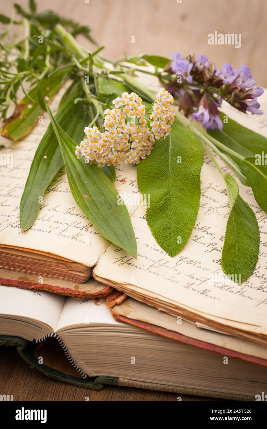 Handwritten identification hi-res stock photography and images - Alamy