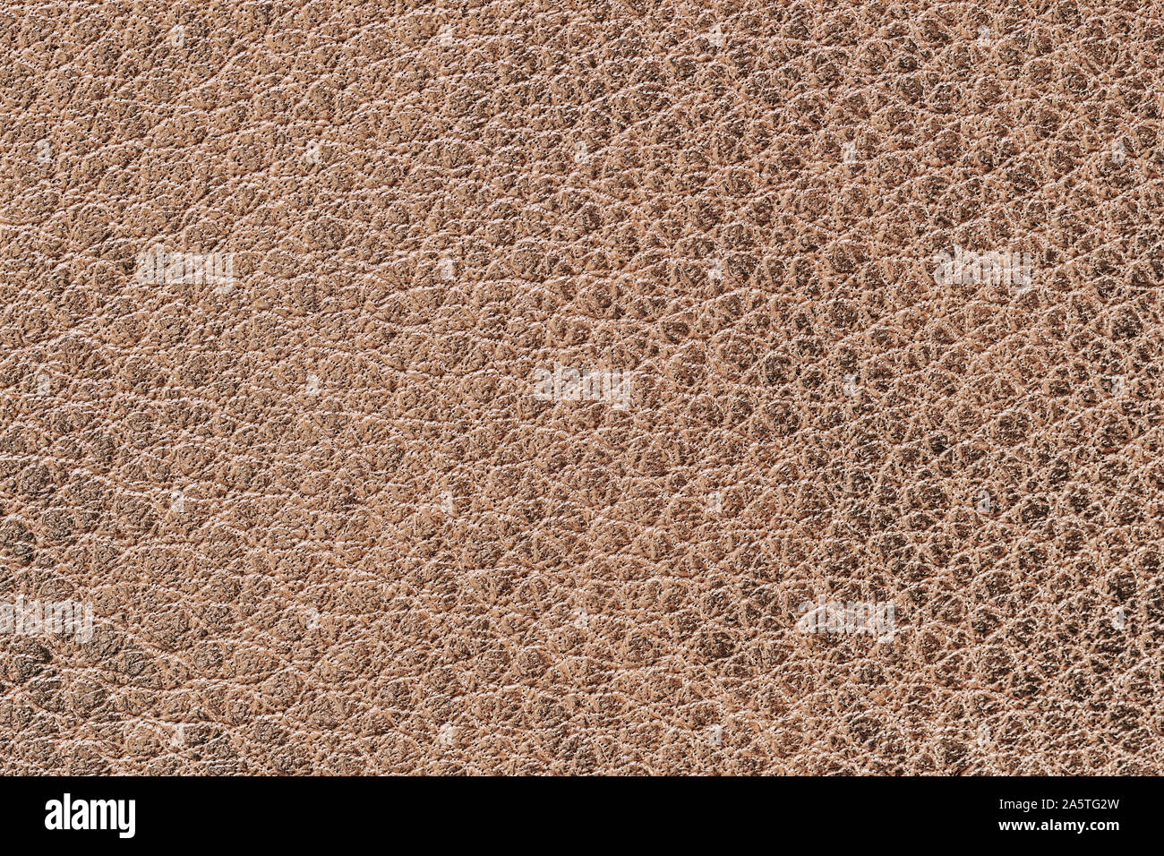 Genuine grainy leather texture closeup, brown color, matte surface ...