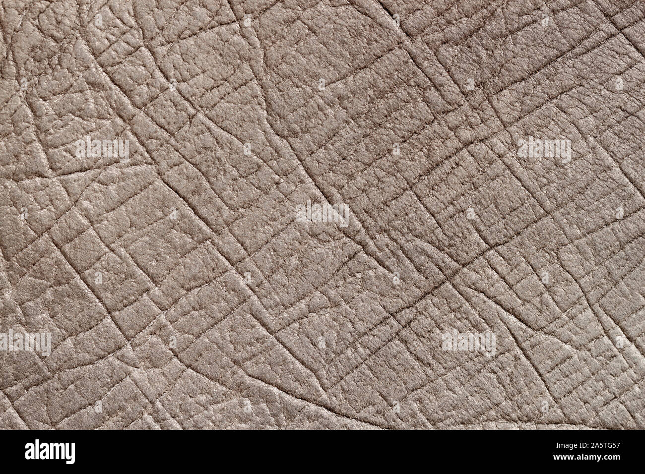 Genuine grainy leather texture closeup, brown grey color, matte surface ...