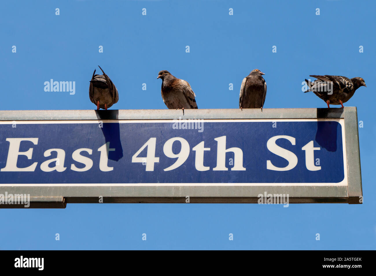 York city sign hi-res stock photography and images - Alamy