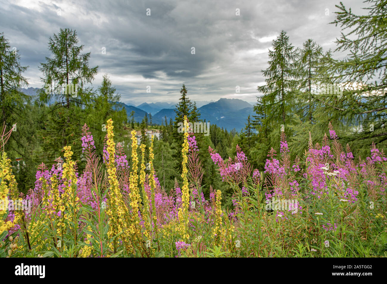 Beautiful nature of Austrian Alps in summer. Lake views, mountain huts ...