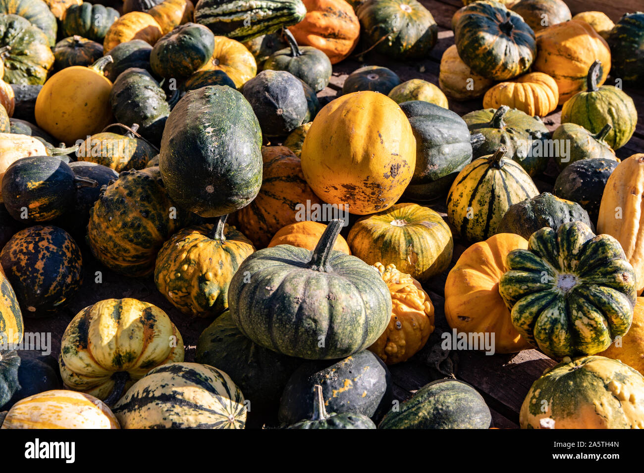 Selection of pumpkins on market stand Stock Photo - Alamy