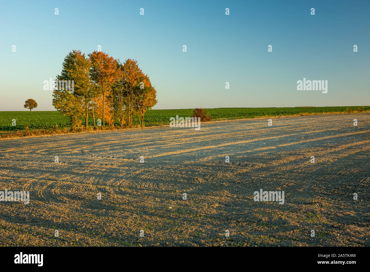 Field sky landscape hi-res stock photography and images - Alamy