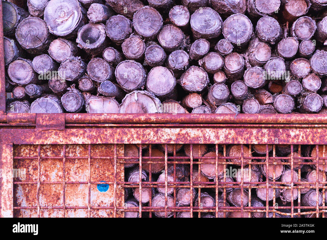 Dry and chopped wood in a metal box Stock Photo - Alamy