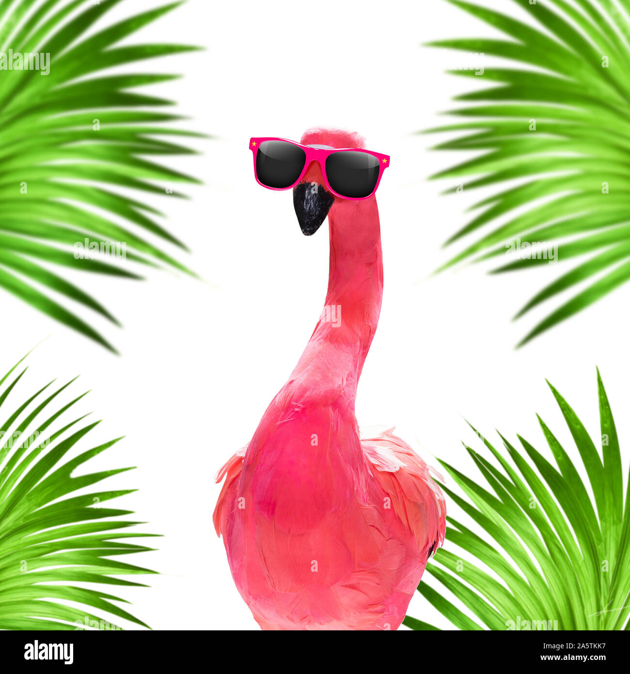 summer paradise vacation surfer flamingo with surfboard and sunglasses ...